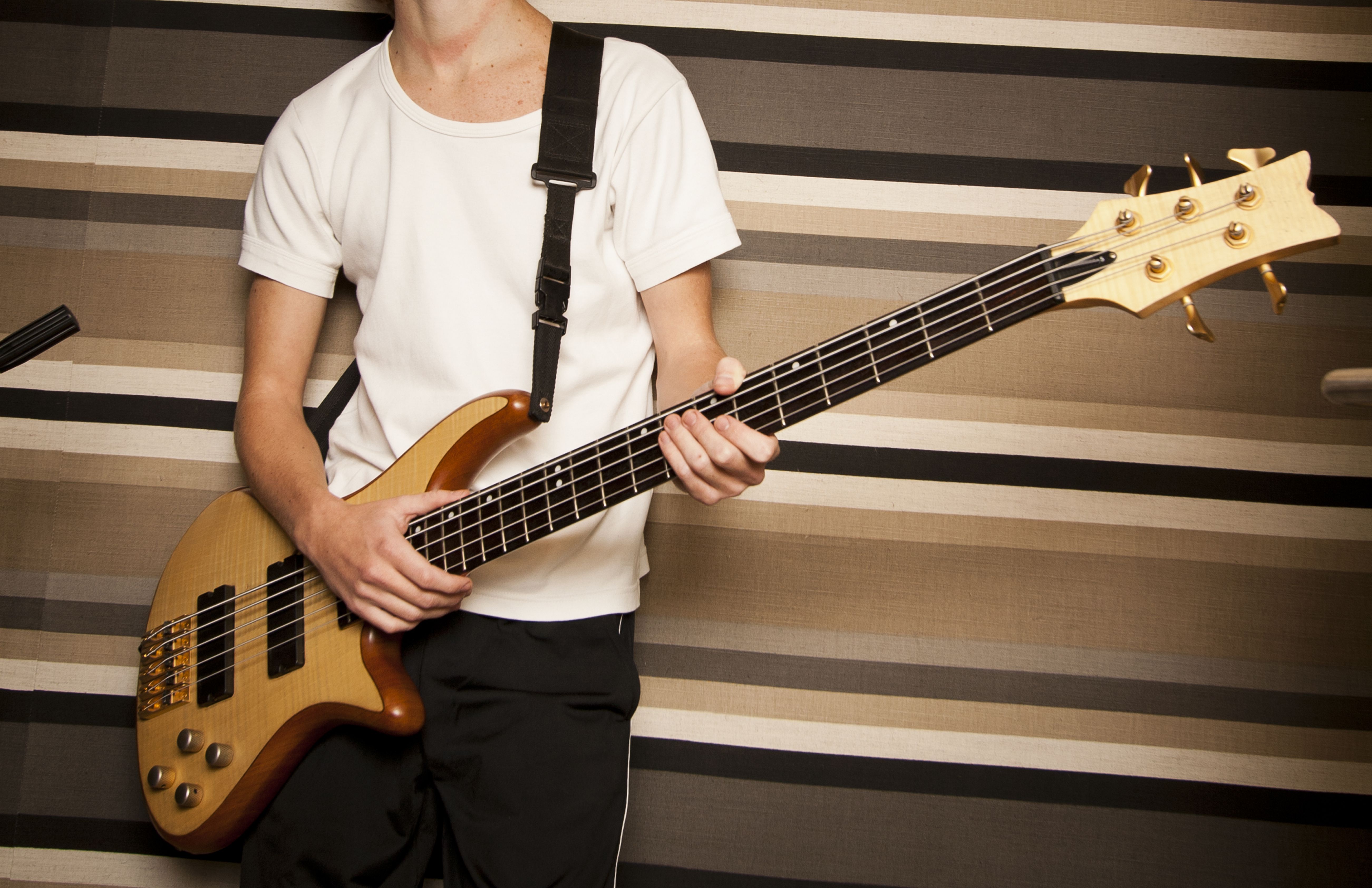 Parts Of The Bass Guitar Overview
