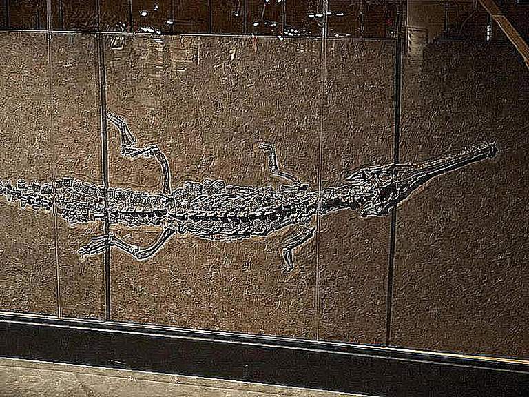 Prehistoric Crocodile Profiles And Pictures